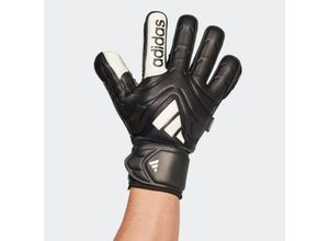4068801988053 - Torwarthandschuhe ADIDAS PERFORMANCE COPA GL MTC FS Herren Gr 10 schwarz-weiß (schwarz weiß) Obermaterial 100% Polyester Sportlich Handschuhe