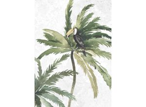 4055065200298 - Bild KOMAR Tropical Toucan bunt (farbe bild(er) bunt) B50cm H70cm Papier Holz Bilder Wandbild zur Dekoration - ohne Rahmen