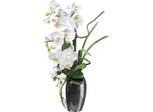 4064118240471 - Kunstorchidee CREATIV GREEN Orchidee Phalaenopsis weiß H68cm Kunststoff Kunstpflanzen mit real-touch-Blüten 4064118240471 - Kunstorchidee CREATIV GREEN Orchidee Phalaenopsis weiß H68cm Kunststoff Kunstpflanzen mit real-touch-Blüten
