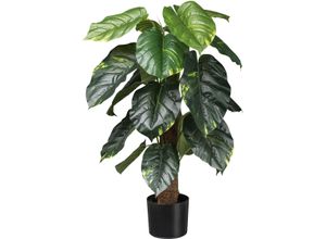 4064118181965 - Künstliche Zimmerpflanze »Philodendron Scandens« mit Kokosfasern am Stamm