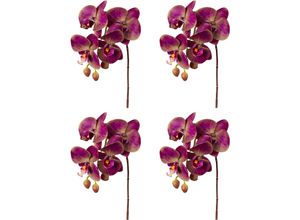 4064118180869 - Kunstorchidee »Orchidee Phalaenopsis« mit real-touch-Blüten