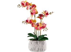 4064118240860 - Kunstorchidee »Orchidee Phalaenopsis« mit aussergewöhnlicher Zementschale 4064118240860 - Kunstorchidee »Orchidee Phalaenopsis« mit aussergewöhnlicher Zementschale