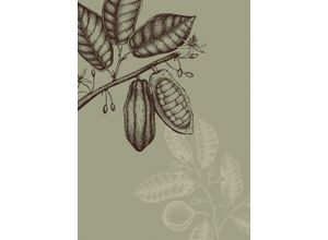 4055065177125 - Wandbild »Wild Cocoa« (1 St) Deutsches Premium-Poster Fotopapier mit seidenmatter Oberfläche und hoher Lichtbeständigkeit Für fotorealistische Drucke mit gestochen scharfen Details und hervorragender Farbbrillanz