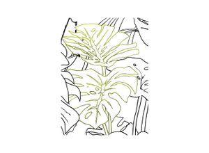 4055065179587 - Bild KOMAR Monstera Borsigiana grün (farbe bild(er) grün weiß) B40cm H50cm Papier Holz Bilder Wandbild zur Dekoration - ohne Rahmen