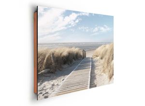 8714597520705 - Deco-Panel REINDERS Nordsee Dünen Bilder Gr B H 90 cm x 60 cm grün (khaki) Kunstdrucke Bilder