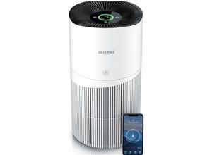 4062861822753 - Luftreiniger HEPA Aktivkohlefilter Smart Home App Air Purifier 402 m³ h Allergiker geeignet leise 90 m²
