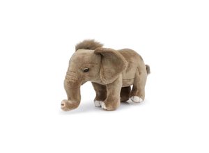 8719066016383 - - Plüschtier - Elefantenbaby (stehend 18cm) Limited Edition Kuscheltier Stofftier Elefant