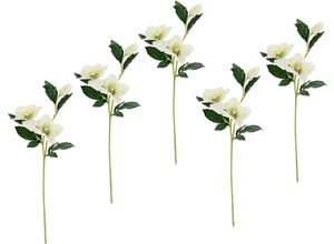 4019844791445 - Kunstblume IGEA Christrose beige (creme) B12cm H57cm L5cm Obermaterial 90% Polyester 10% Kunststoff Kunstpflanzen Künstlich Seidenblumen 5er Set