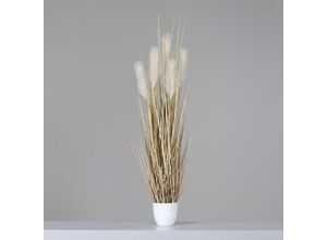4027234950884 - Kunstpflanze GRAS (H 110 cm) H 110 cm beige Pflanze Kunstblume Zimmerpflanze
