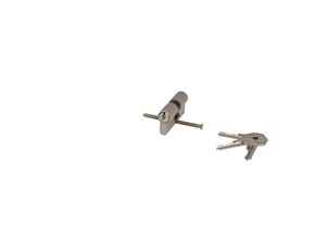 4042533010381 - Profilzylinder (vernickelt mit drei Schlüsseln 315 x 315 mm) 31070