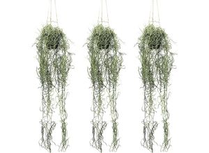4064118274872 - Künstliche Pflanze Tillandsia-Hänger Hängetopf VE 3 Stk Höhe 800 mm kaiserkraft