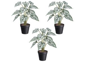 4064118176855 - Künstliche Pflanze Syngonium Kunststofftopf VE 3 Stk Höhe 380 mm kaiserkraft