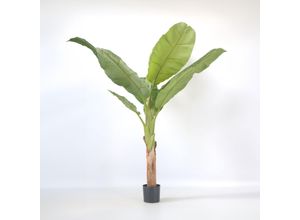 8721278902354 - Plant in a Box - Künstliche Musa-Bananenpflanze – Höhe 150cm