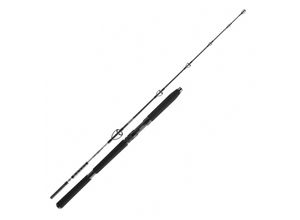4066466005894 - Daiwa BG Jigger 170m 150-400g Meeres-Spinnrute