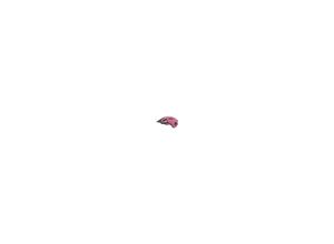 4036638108951 - Kinder - Fahrradhelm Embrace Jrcoral