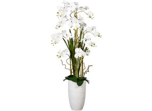 4064118137337 - Kunstorchidee CREATIV GREEN Deko-Orchidee Phalaenopsis XXL im Keramiktopf Kunstpflanzen Gr B H L 65 cm x 160 cm x 50 cm 1 St weiß Kunst-Orchideen