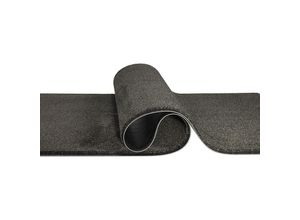 4260698255618 - Schmutzfangmatte EAZYCARE RUSH Breite 1350 mm Länge pro lfd m kohlengrau Miltex