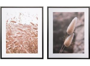 4064118351733 - Bild mit Rahmen CREATIV HOME Schilf beige (farbe rahmen schwarz farbe bild(er) natur) B40cm H50cm T25cm Bilder auf Canvas-Leinwand