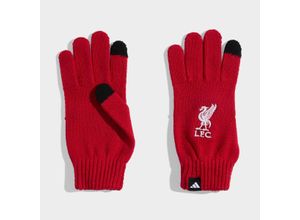 4068809362961 - Trainingshandschuhe ADIDAS PERFORMANCE LFC GLOVES Herren Gr M weiß (strawberry rot weiß) Obermaterial 99% Polyester 1% Elasthan Handschuhe Liverpool