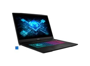 4711377222990 - Katana 17 B13VFK-1275 Gaming-Notebook