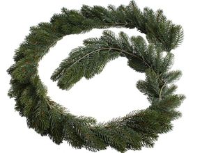 8505493245010 - Künstliche Zimmerpflanze BOTANIC-HAUS Tannengirlande Nisse Kunstpflanzen Gr Ø H 15 cm x 180 cm 1 St grün Künstliche Zimmerpflanzen