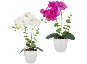 4064118326045 - Kunstorchidee CREATIV GREEN Orchidee Phalaenopsis 2 farben 2 H40cm Kunststoff Kunstpflanzen mit Eukalyptuszweigen 4064118326045 - Kunstorchidee CREATIV GREEN Orchidee Phalaenopsis 2 farben 2 H40cm Kunststoff Kunstpflanzen mit Eukalyptuszweigen