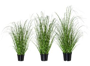 4003529740941 - Kunstgras CREATIV GREEN Miscanthus Kunstpflanzen grün Kunstgras Kunst-Gräser Kunstpflanzen 4003529740941 - Kunstgras CREATIV GREEN Miscanthus Kunstpflanzen grün Kunstgras Kunst-Gräser Kunstpflanzen