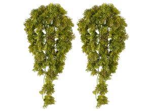 4064118241744 - Kunstranke CREATIV GREEN Hänger Moos grün H36cm Kunststoff Kunstpflanzen mit je 5 Ranken 4064118241744 - Kunstranke CREATIV GREEN Hänger Moos grün H36cm Kunststoff Kunstpflanzen mit je 5 Ranken