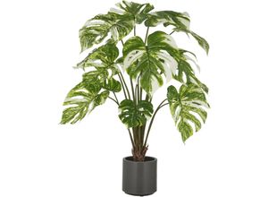 4064118326441 - Kunstpflanze CREATIV GREEN Splitphilodendron grün (grün weiß) H100cm Kunststoff Kunstpflanzen mit naturgetreuem Blattwerk