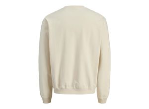 5715732613101 - Jack & Jones Junior Pullover MEADOWS Sweatshirt