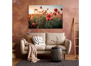 4067437130331 - XXL-Wandbild QUEENCE Akustikbild Mohn Mohnfeld bei Sonnenaufgang rot (farbe bild(er) rot) B90cm H60cm T25cm Polyester Bilder Einfache Akustiklösung ohne Baumaßnahme Schalldämmung Paneele