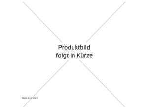 4262437185934 - Gasheizgebläse - 30 kW Heizgerät inkl Regler & Schlauch Heißluftgenerator – Schwarz