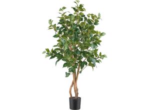 4064118241430 - Kunstpflanze CREATIV GREEN Ficus benjamina grün H110cm Kunststoff Kunstpflanzen mit sehr naturgetreu gestalteten Blättern 4064118241430 - Kunstpflanze CREATIV GREEN Ficus benjamina grün H110cm Kunststoff Kunstpflanzen mit sehr naturgetreu gestalteten Blättern