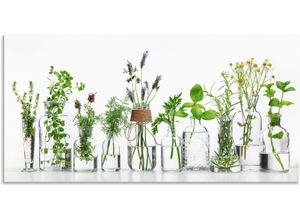 4062144598023 - Wandbild ARTLAND Öle mit Kräutern Bilder Gr B H 100 cm x 50 cm Alu-Dibond-Druck Kräuterbilder Querformat 1 St grün Kunstdrucke als Alubild Leinwandbild Wandaufkleber oder Poster in versch Größen