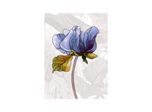 4055065178313 - Bild KOMAR Casta bunt (farbe bild(er) bunt) B40cm H50cm Papier Holz Bilder Wandbild zur Dekoration - ohne Rahmen 4055065178313 - Bild KOMAR Casta bunt (farbe bild(er) bunt) B40cm H50cm Papier Holz Bilder Wandbild zur Dekoration - ohne Rahmen