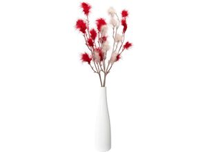 4064118351894 - Tischvase CREATIV HOME Vase mit Federzweigen weiß (weiß rot) H27cm Ø75cm Vasen für die moderne Einrichtung 4064118351894 - Tischvase CREATIV HOME Vase mit Federzweigen weiß (weiß rot) H27cm Ø75cm Vasen für die moderne Einrichtung