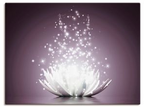 4055327787383 - Wandbild ARTLAND Magie der Lotus-Blume Bilder Gr B H 40 cm x 30 cm Leinwandbild Blumen Querformat 1 St lila Bild Leinwandbild Kunstdrucke Bilder als Leinwandbild Wandaufkleber oder Poster in versch Größen