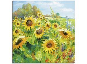 4055327221146 - Wandbild ARTLAND Sommerwiese mit Sonnenblumen Bilder Gr B H 40 cm x 40 cm Leinwandbild Blumenwiese 1 St gelb Bild Poster Bilder als Alubild Leinwandbild Wandaufkleber oder in versch Größen