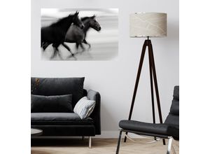 4067437104097 - Wandsticker QUEENCE Horses schwarz B90cm H60cm T01cm Folie Wandtattoos Selbstklebend kinderleichte Anbringung