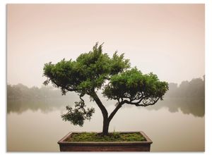 4058661472755 - Wandbild ARTLAND Chinesischer Bonsaibaum Bilder Gr B H 80 cm x 60 cm Leinwandbild Bäume Querformat 1 St grün Bild Leinwandbild Kunstdrucke Bilder als Alubild Leinwandbild Wandaufkleber oder Poster in versch Größen