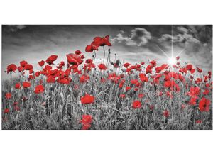 4058661952875 - Wandbild ARTLAND Idyllisches Mohnblumenfeld mit Sonne Bilder Gr B H 40 cm x 20 cm Alu-Dibond-Druck Blumen 1 St schwarz Bild Kunstdruck Kunstdrucke Bilder als Alubild Leinwandbild Wandaufkleber oder Poster in versch Größen