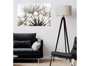 4067437104141 - QUEENCE Wandsticker Susi Wandtattoos Selbstklebend kinderleichte Anbringung Gr B H T 150 cm x 100 cm x 01 cm Pusteblume-Blume grau Wandtattoos Natur 4067437104141 - QUEENCE Wandsticker Susi Wandtattoos Selbstklebend kinderleichte Anbringung Gr B H T 150 cm x 100 cm x 01 cm Pusteblume-Blume grau Wandtattoos Natur