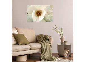 4067437103700 - Wandsticker QUEENCE White Love weiß B90cm H60cm T01cm Folie Wandtattoos Selbstklebend kinderleichte Anbringung