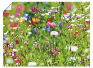 4055327881890 - Wandbild ARTLAND Blumenwiese I Bilder Gr B H 60 cm x 45 cm Poster Blumenwiese Querformat 1 St grün Bild Poster Bilder als Leinwandbild Wandaufkleber oder in versch Größen