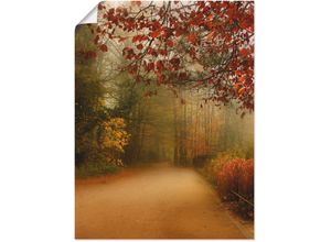 4055327536554 - Wandbild ARTLAND Herbst im Park Bilder Gr B H 30 cm x 40 cm Poster Vier Jahreszeiten 1 St orange Bild Kunstdruck Kunstdrucke Bilder als Leinwandbild Wandaufkleber oder Poster in versch Größen