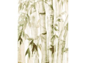 4055065200427 - Bild KOMAR Wild Bamboo grün (farbe bild(er) grün weiß) B40cm H50cm Papier Holz Bilder Wandbild zur Dekoration - ohne Rahmen