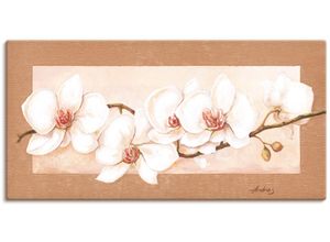 4062144556979 - Wandbild ARTLAND Orchideenzweig Bilder Gr B H 40 cm x 20 cm Leinwandbild Blumenbilder Querformat 1 St beige (naturfarben) Kunstdrucke als Alubild Leinwandbild Wandaufkleber oder Poster in versch Größen