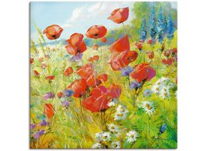 4055327137379 - Wandbild ARTLAND Sommerwiese mit Mohnblumen Bilder Gr B H 50 cm x 50 cm Leinwandbild Blumenwiese 1 St bunt Bild Poster Bilder als Alubild Leinwandbild Wandaufkleber oder in versch Größen