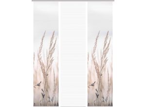 4056751415620 - Schiebegardine VISION S RELVA beige (natur) B60cm H260cm Polyester Gardinen DIGITALDRUCK