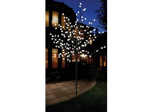 4028998004554 - LED Baum BONETTI Lampen Gr 500 flammig Höhe 220 cm schwarz Deko-Weihnachtsbaum Esszimmerlampe Flurlampe LED-Baum Lichterbaum Weihnachtsbeleuchtung Weihnachtsdekoration Dekofiguren Lampen Weihnachtsdeko 4028998004554 - LED Baum BONETTI Lampen Gr 500 flammig Höhe 220 cm schwarz Deko-Weihnachtsbaum Esszimmerlampe Flurlampe LED-Baum Lichterbaum Weihnachtsbeleuchtung Weihnachtsdekoration Dekofiguren Lampen Weihnachtsdeko